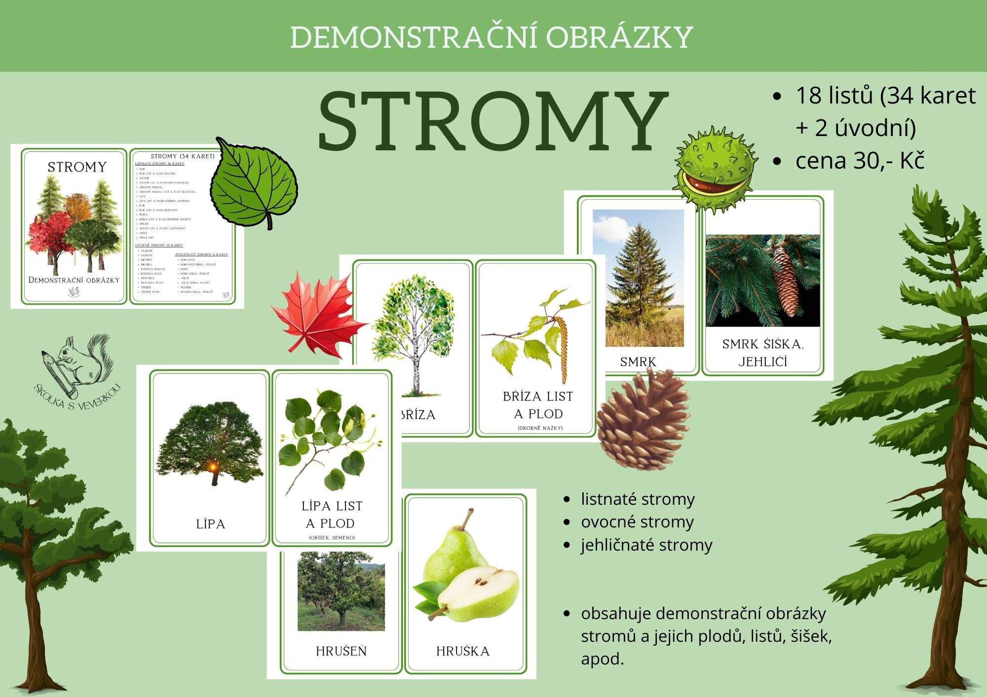 STROMY - demonstrační obrázky - Prvouka | UčiteléUčitelům.cz